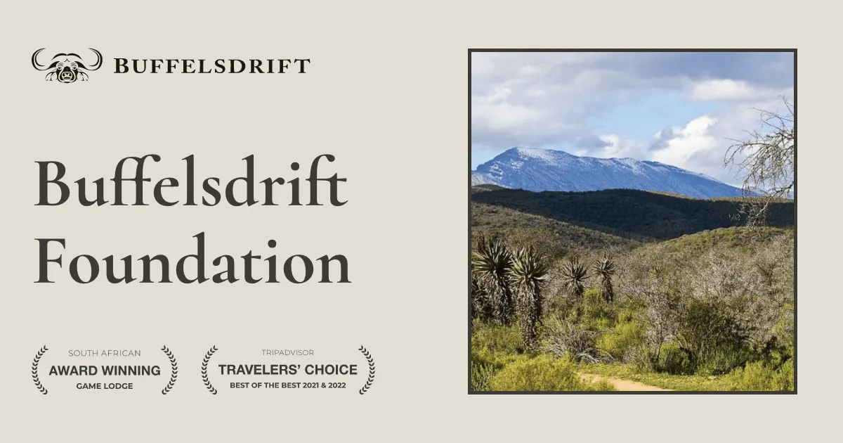 Buffelsdrift Foundation